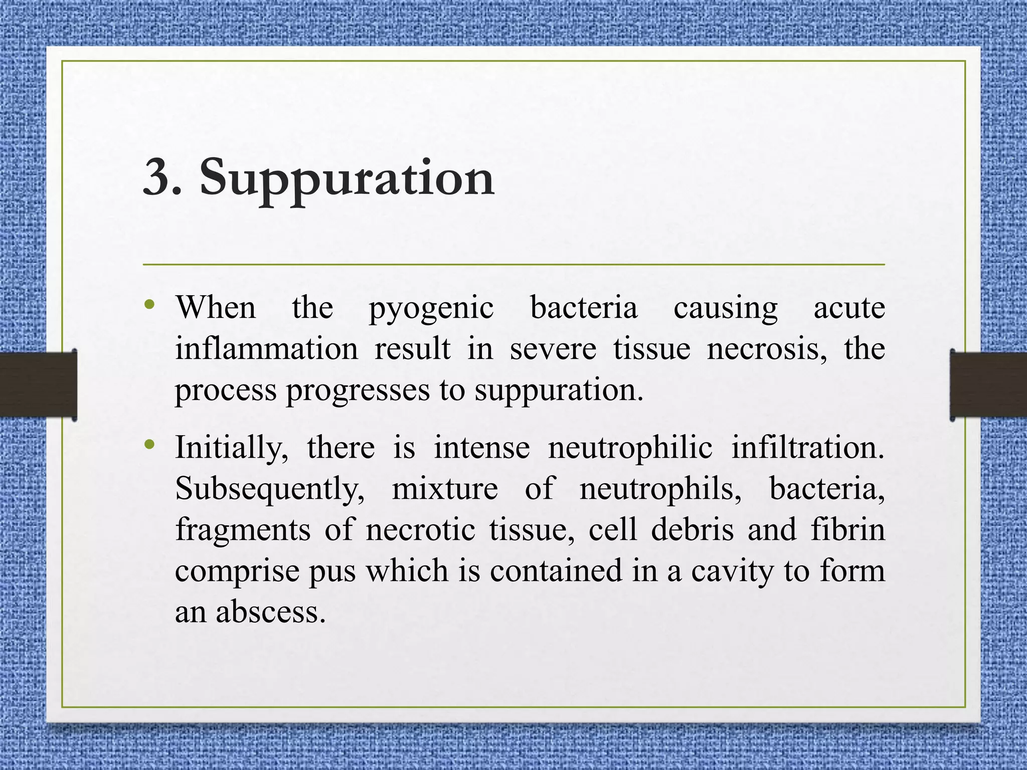 Morphology of-acute-inflammation | PPT