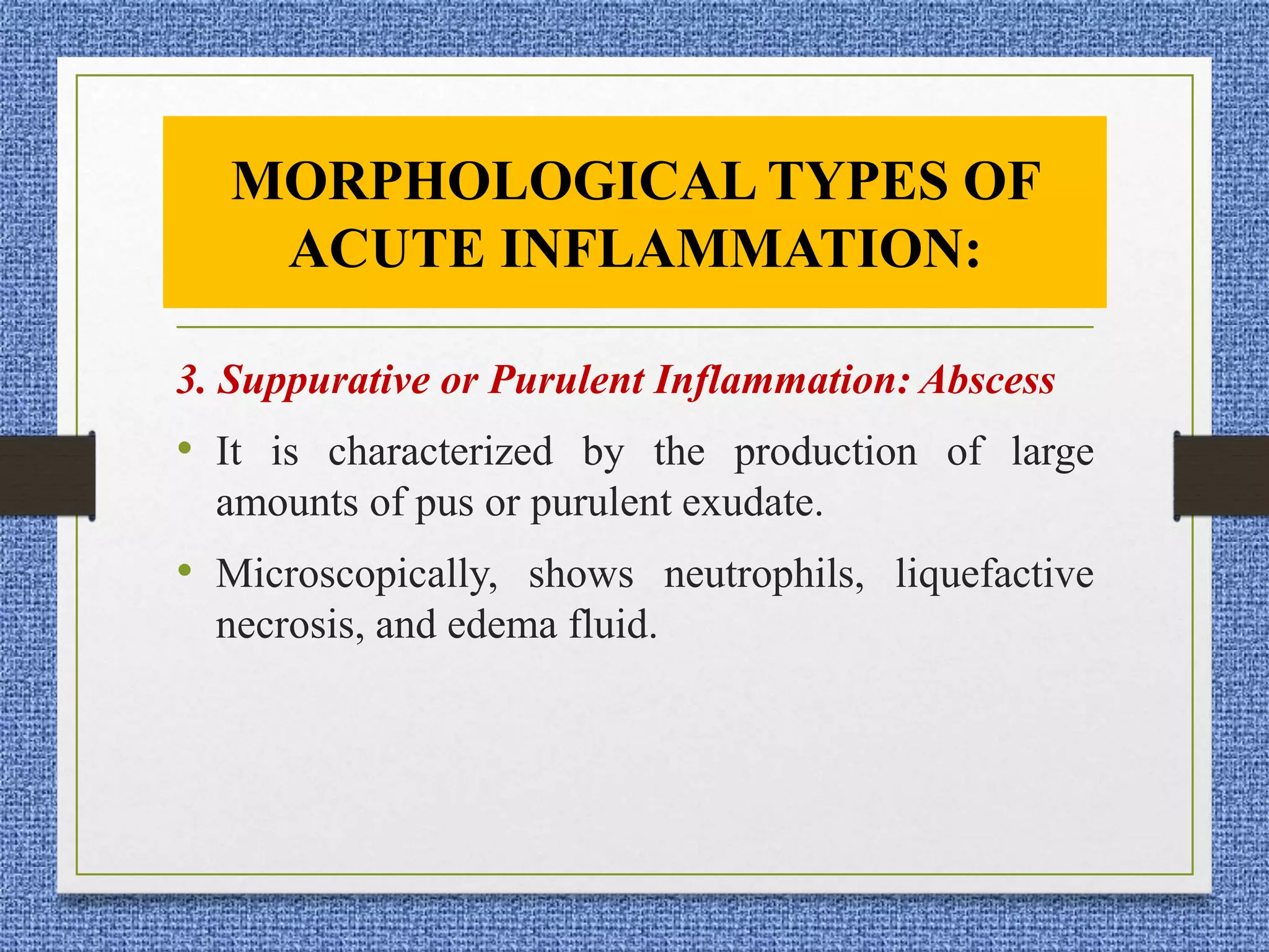 Morphology of-acute-inflammation | PPT