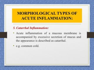 Morphology of-acute-inflammation | PPT