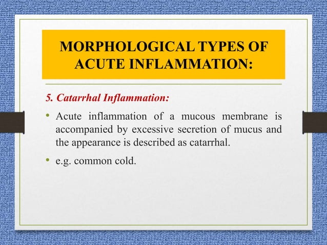 Morphology of-acute-inflammation | PPT | Blood Disorders | Diseases and ...