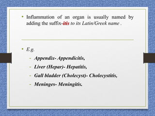 Morphology of-acute-inflammation | PPT