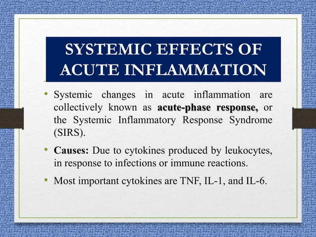Morphology of-acute-inflammation | PPT | Blood Disorders | Diseases and ...