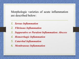 Morphology of-acute-inflammation | PPT