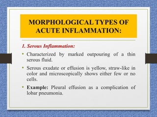 Morphology of-acute-inflammation | PPT