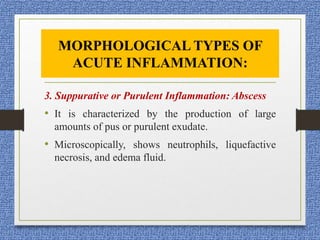 Morphology of-acute-inflammation | PPT