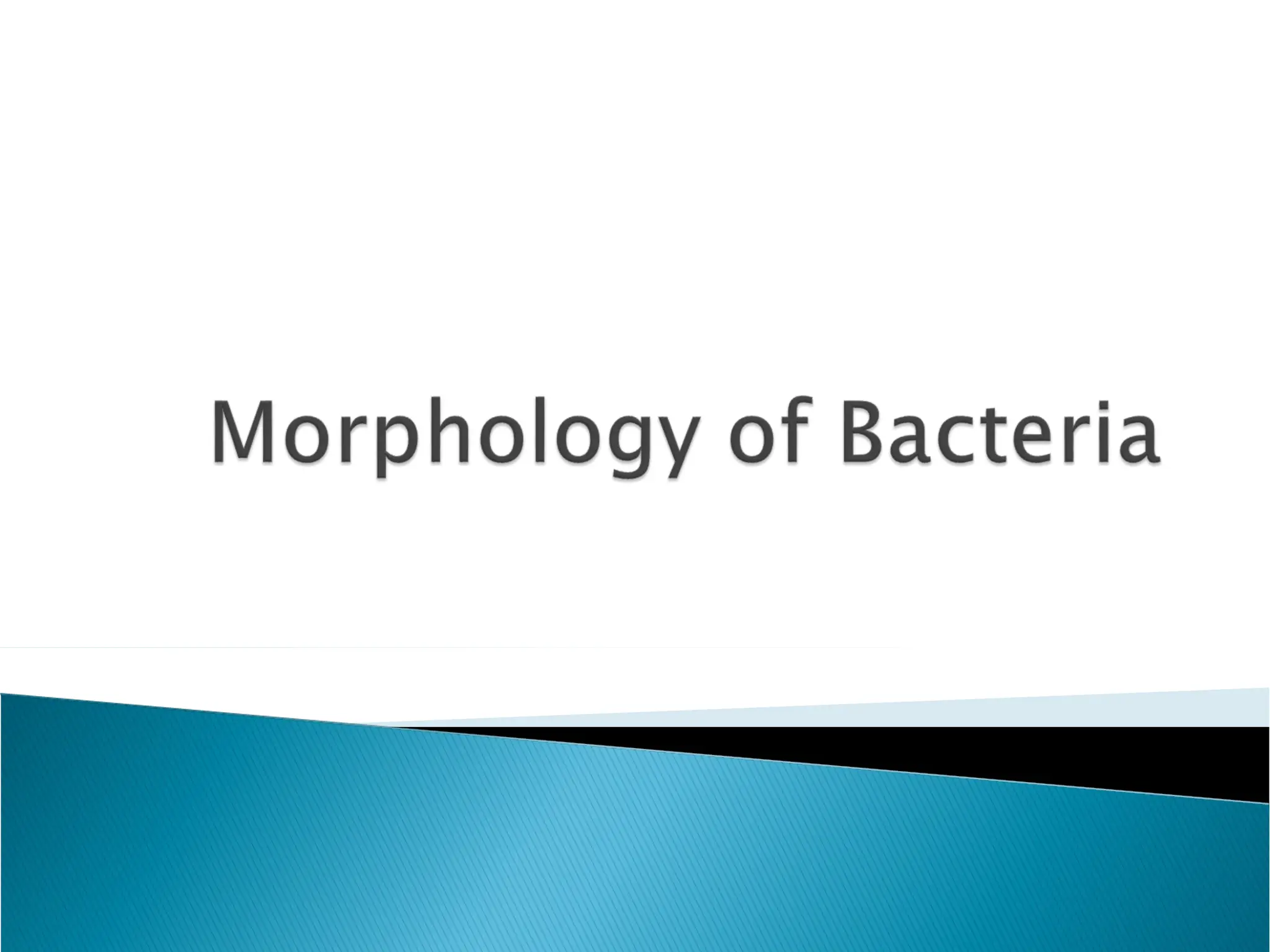 Morphology-of-bacteria-_1_ microbiology.ppt