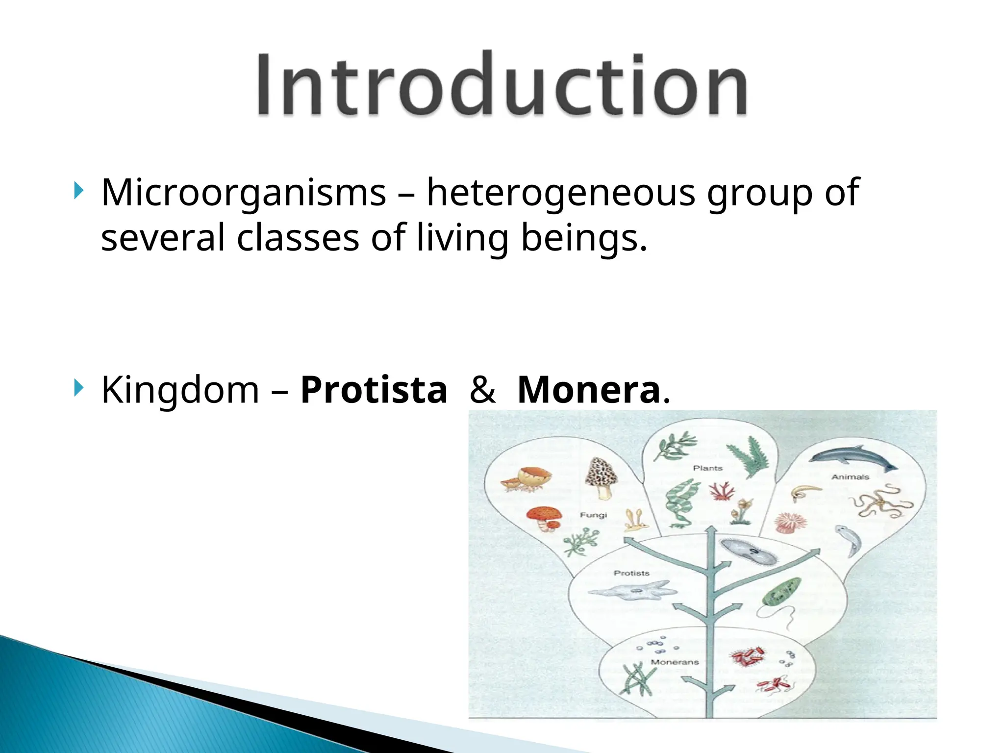 Morphology-of-bacteria-_1_ microbiology.ppt | Biological Sciences | Science
