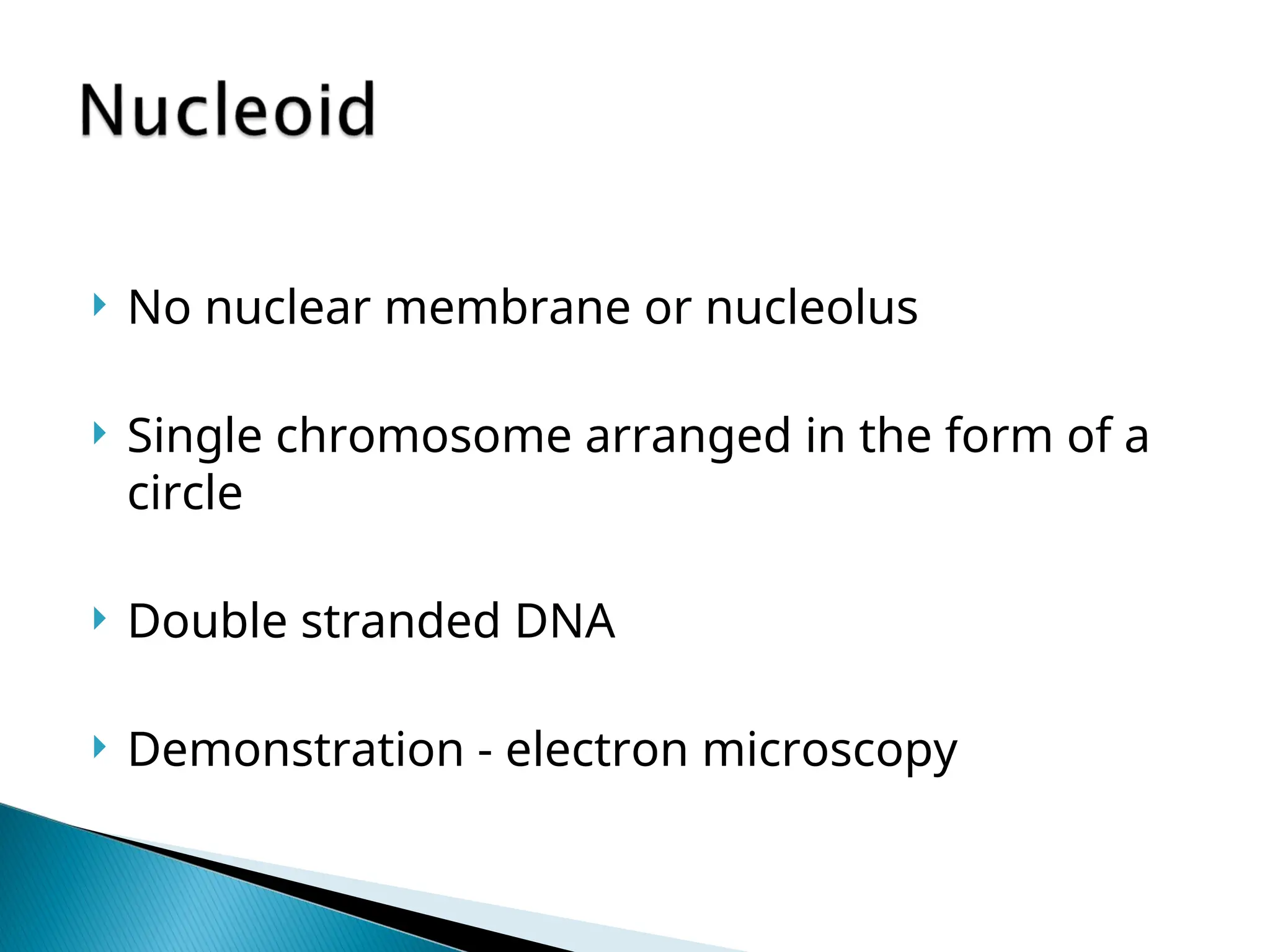 Morphology-of-bacteria-_1_ microbiology.ppt | Biological Sciences | Science