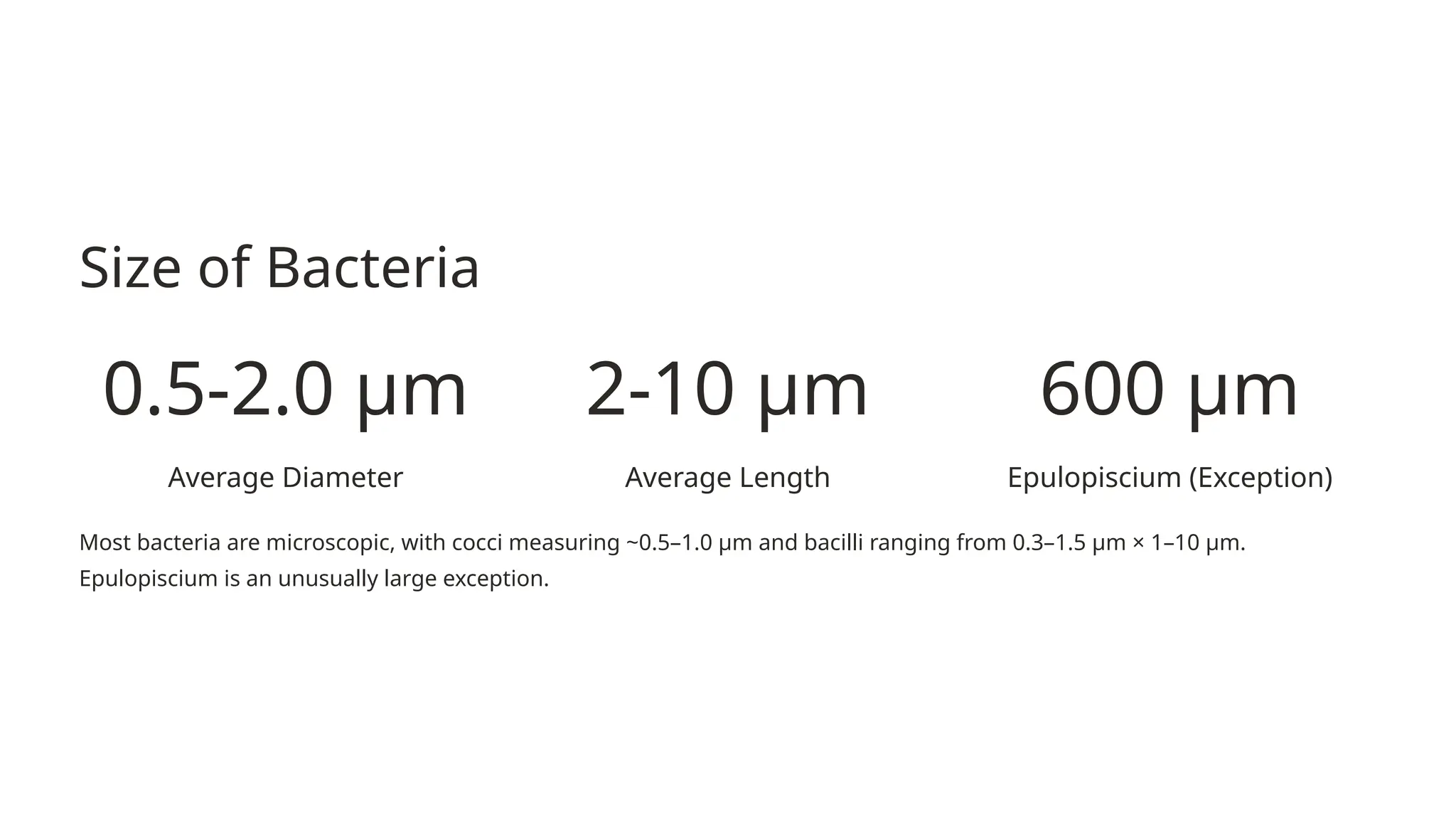 Morphology of Bacteria & Structure of Bacterial Cell | PPTX