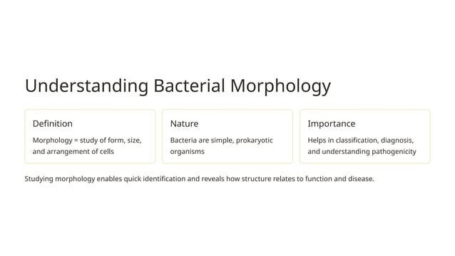 Morphology of Bacteria & Structure of Bacterial Cell | PPTX