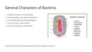 Morphology of Bacteria & Structure of Bacterial Cell | PPTX