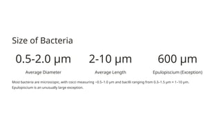 Morphology of Bacteria & Structure of Bacterial Cell | PPTX