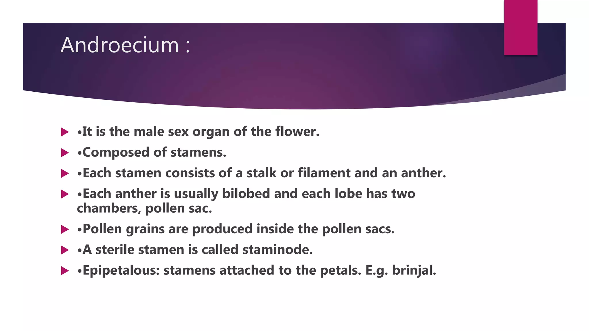 morphology-of-flowering-plants-5.pptx