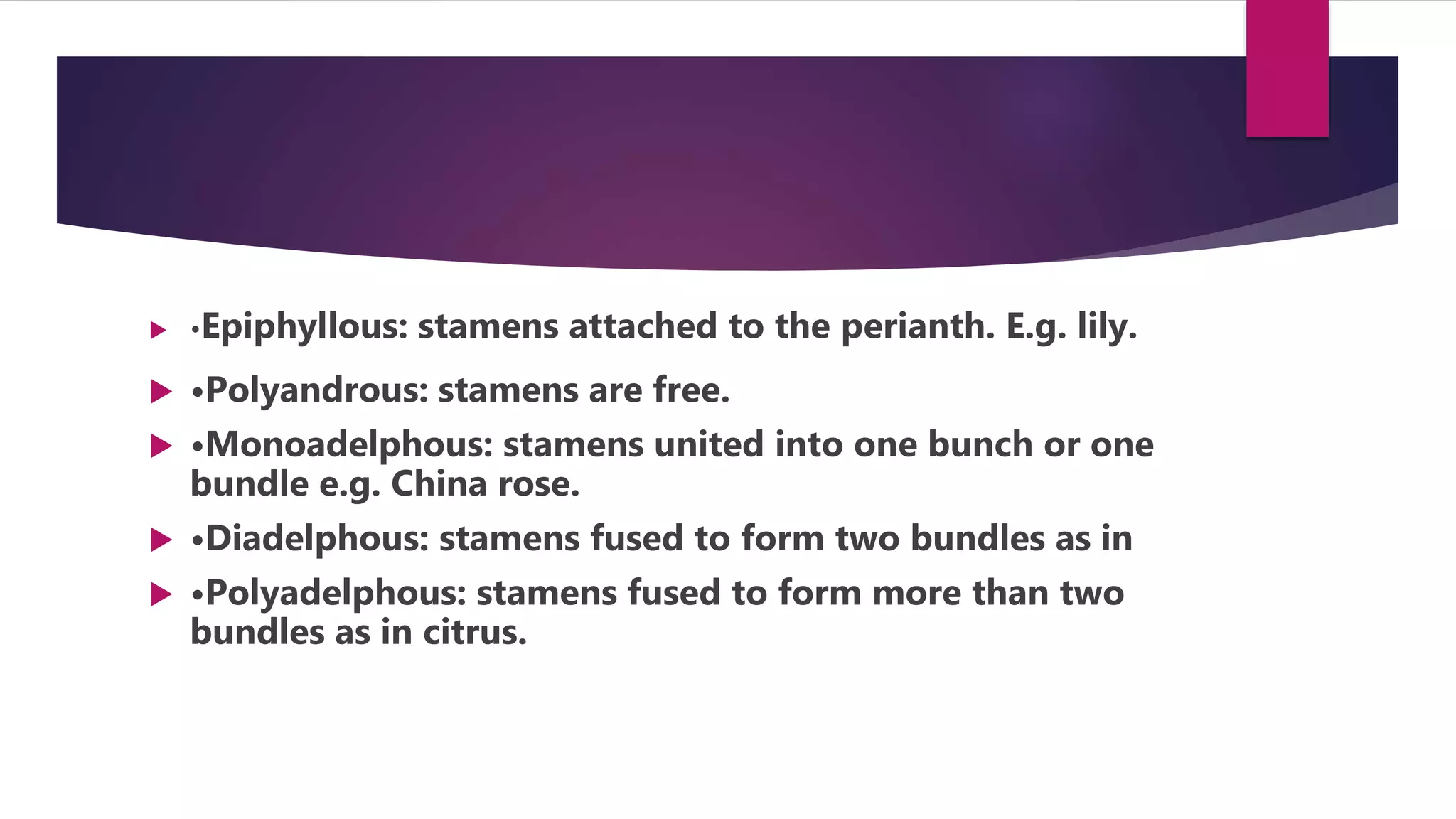 morphology-of-flowering-plants-5.pptx