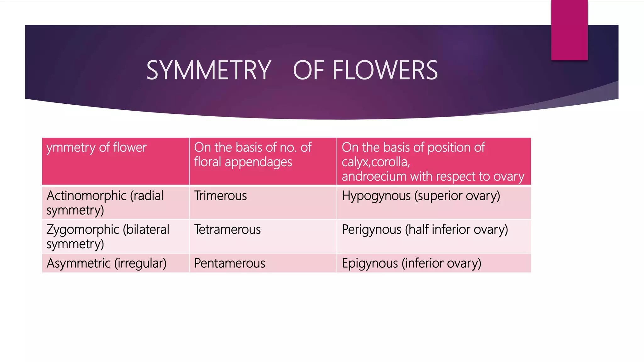 morphology-of-flowering-plants-5.pptx