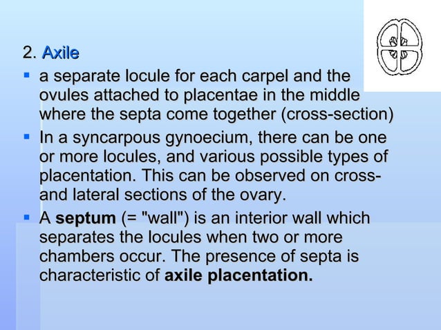 Morphology Of The Flower Part 2 | PPT