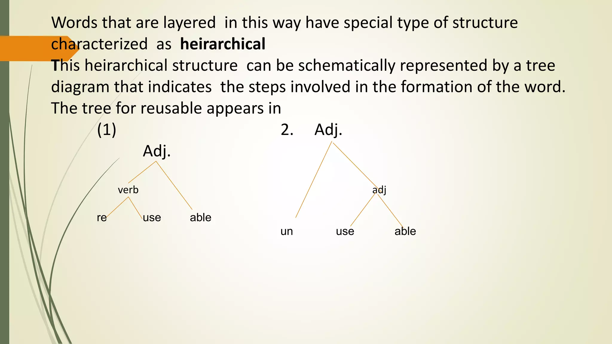 MORPHOLOGY-REPORT.pptx
