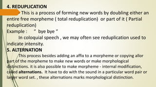 MORPHOLOGY-REPORT.pptx