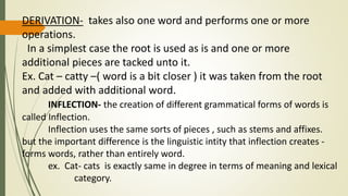 MORPHOLOGY-REPORT.pptx