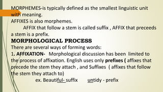 MORPHOLOGY-REPORT.pptx