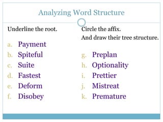 Morphology review-exercises-for-midterm1 | PPTX