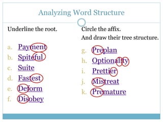 Morphology review-exercises-for-midterm1 | PPTX