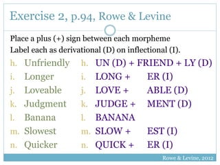 Morphology review-exercises-for-midterm1 | PPTX