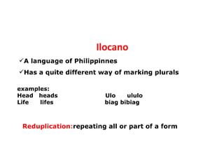 Morphology Son | PPT