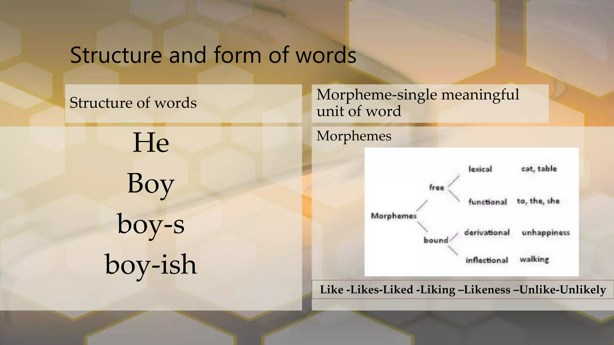Morphology subfield of linguistics | PPTX