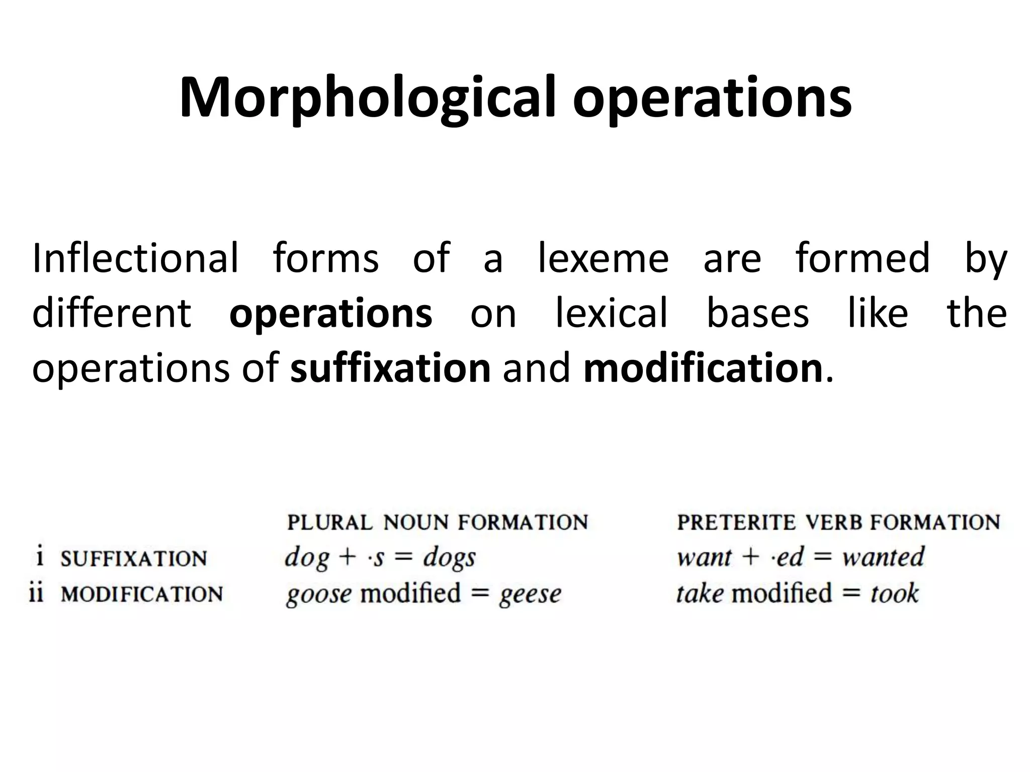 Morphology. words and lexemes | PPTX
