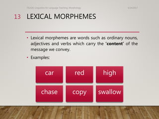 Morphology 1 | PPTX