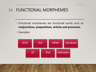 Morphology 1 | PPT