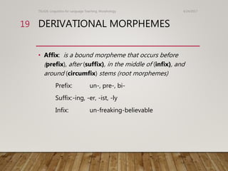 Morphology 1 | PPTX