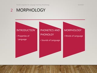 Morphology 1 | PPT