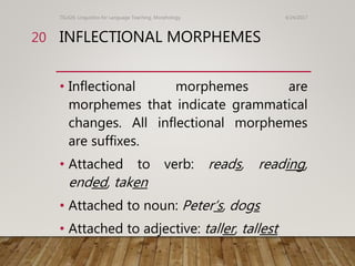 Morphology 1 | PPT