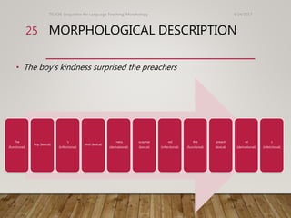 Morphology 1 | PPT