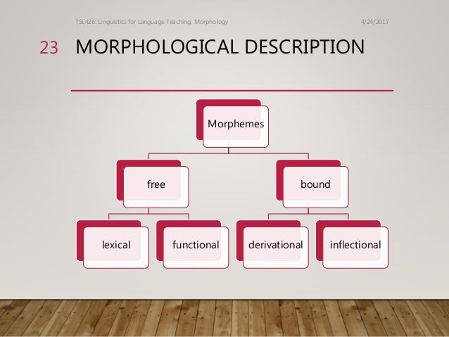 Morphology 1 morphology-1