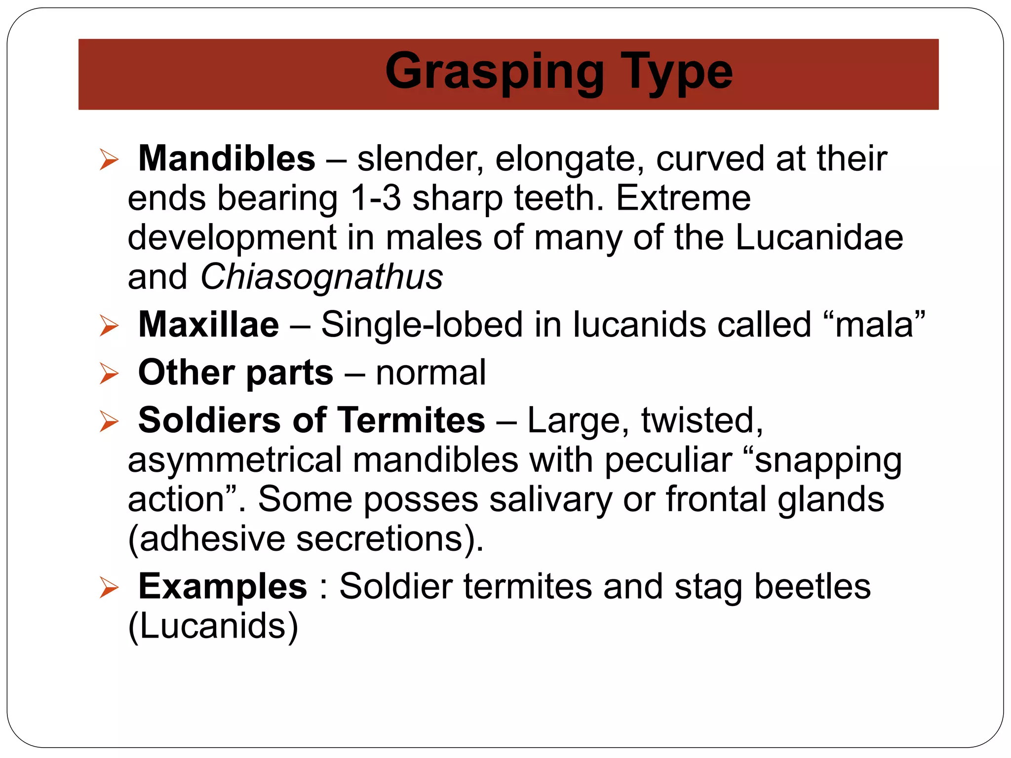 Insect mouthparts.pdf