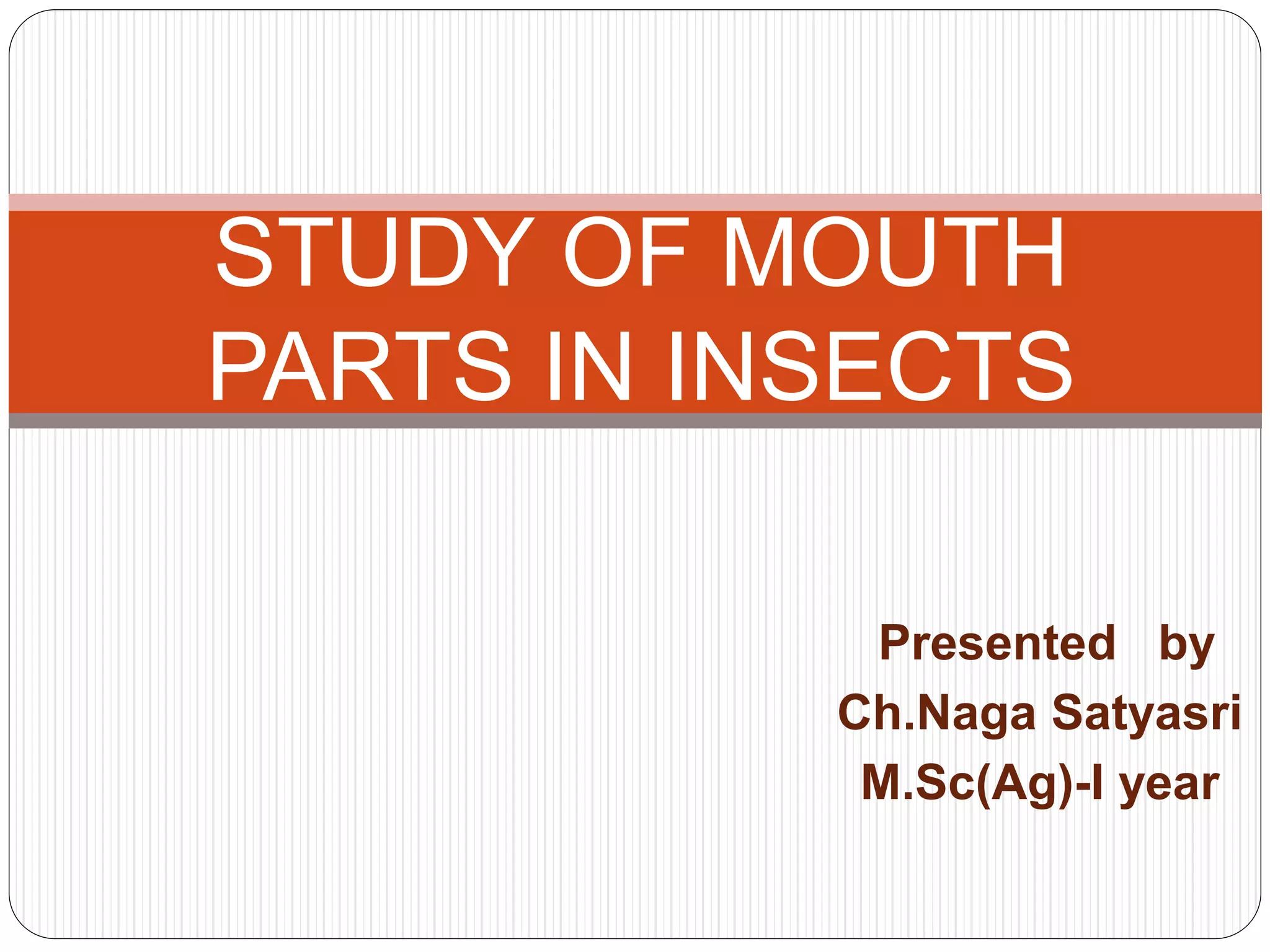 Insect mouthparts.pdf