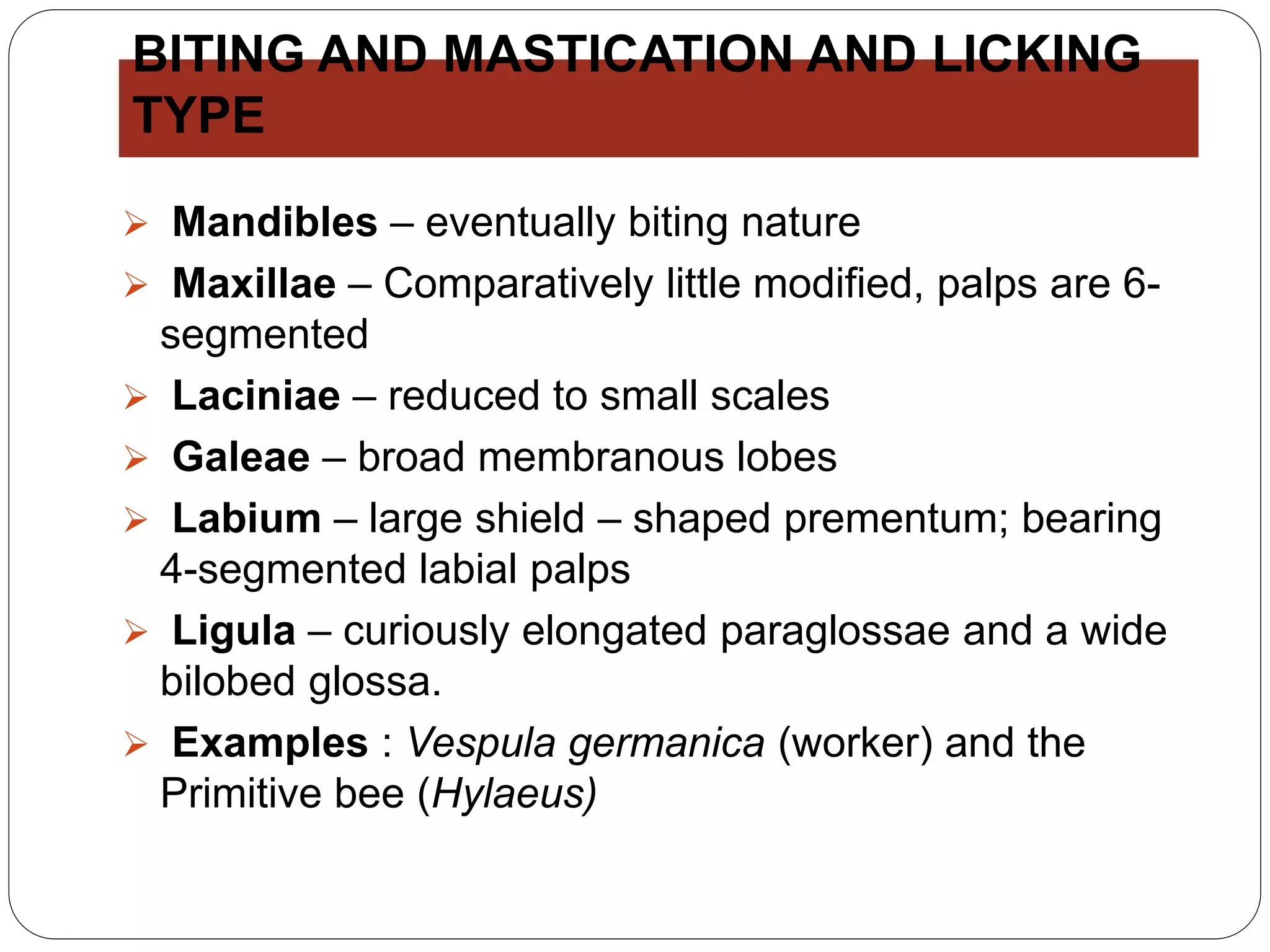 Insect mouthparts.pdf