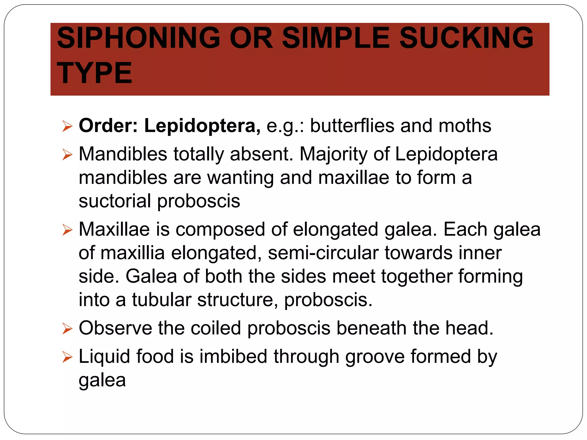 Insect mouthparts.pdf