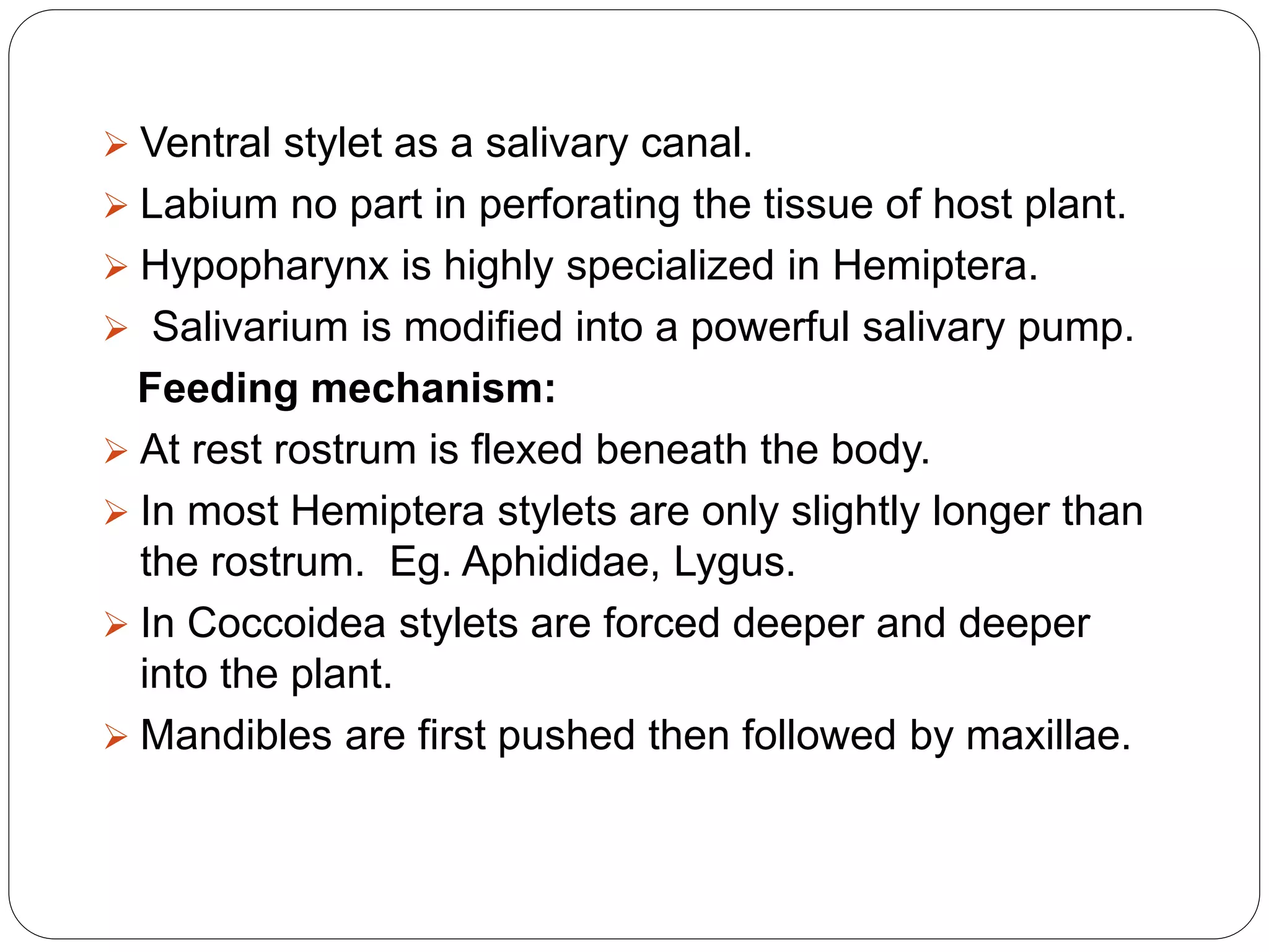 Insect mouthparts.pdf
