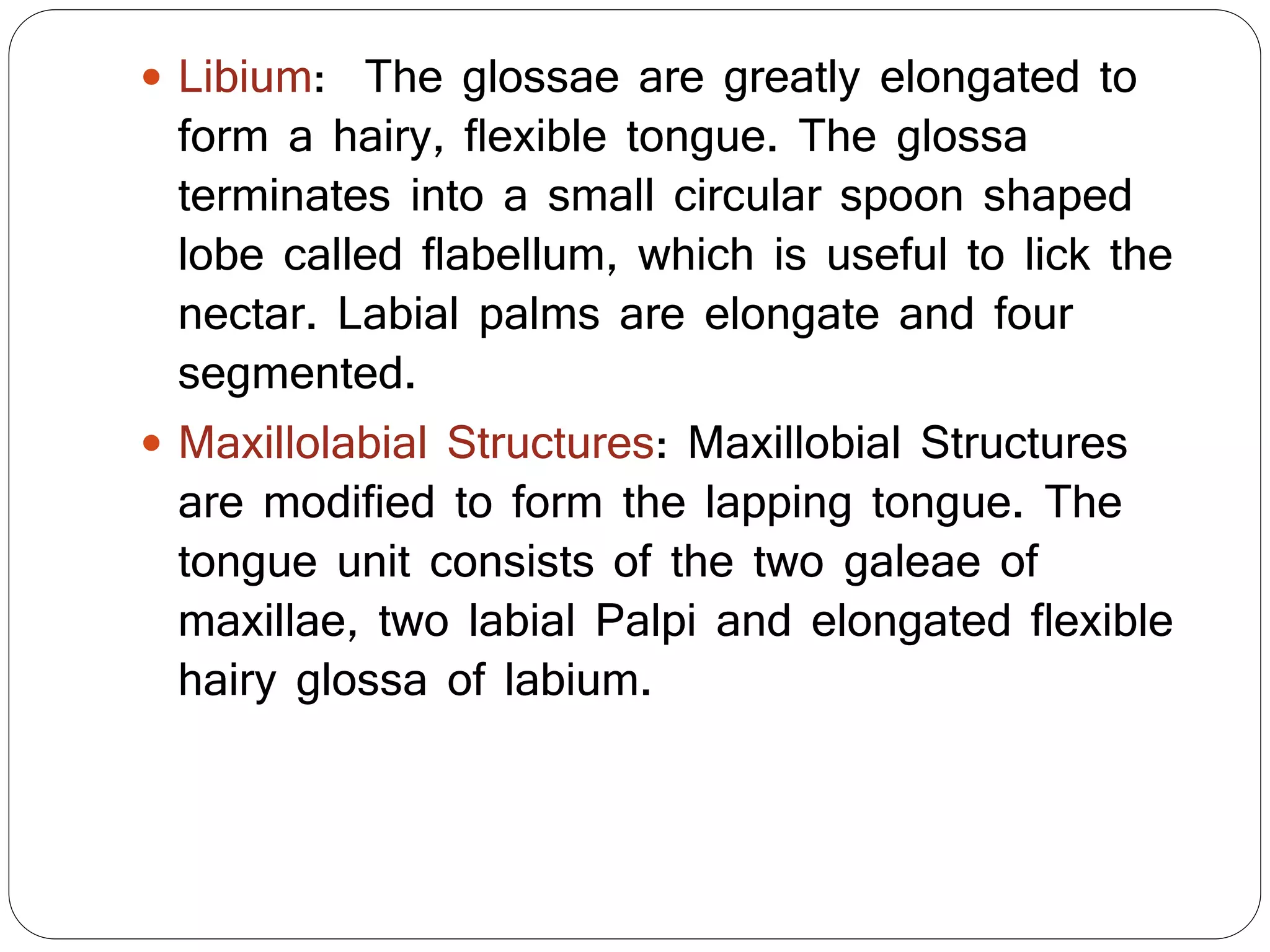 Insect mouthparts.pdf
