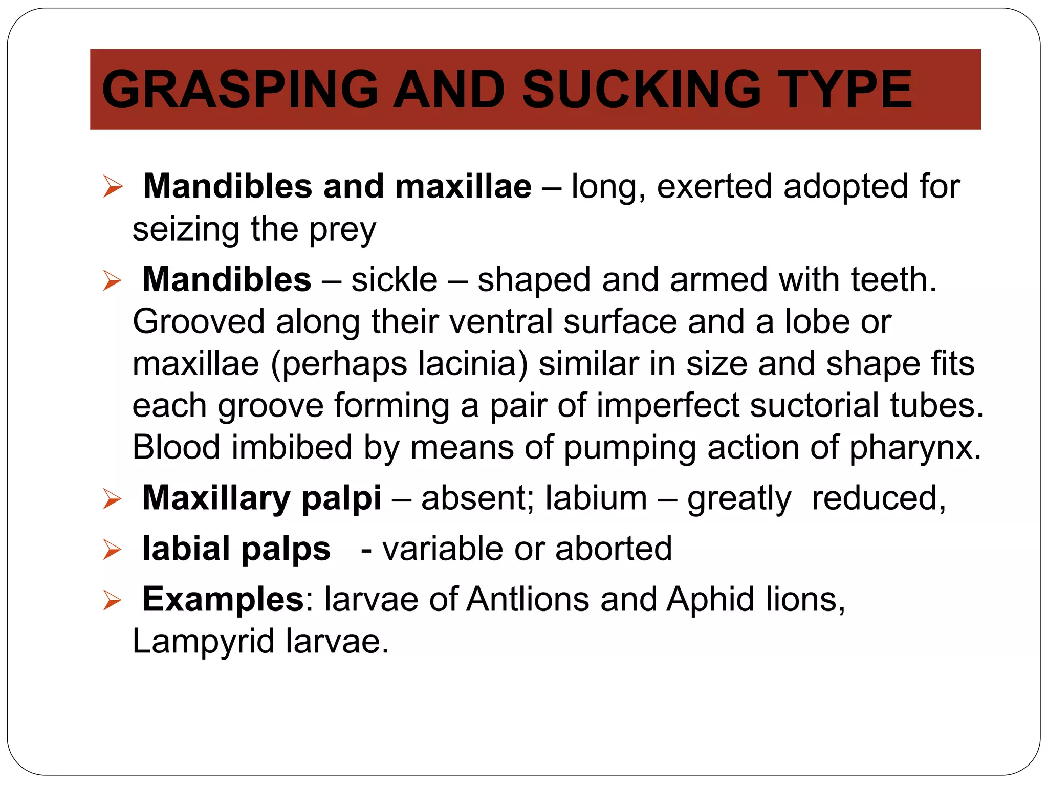 Insect Mouthparts | PPTX