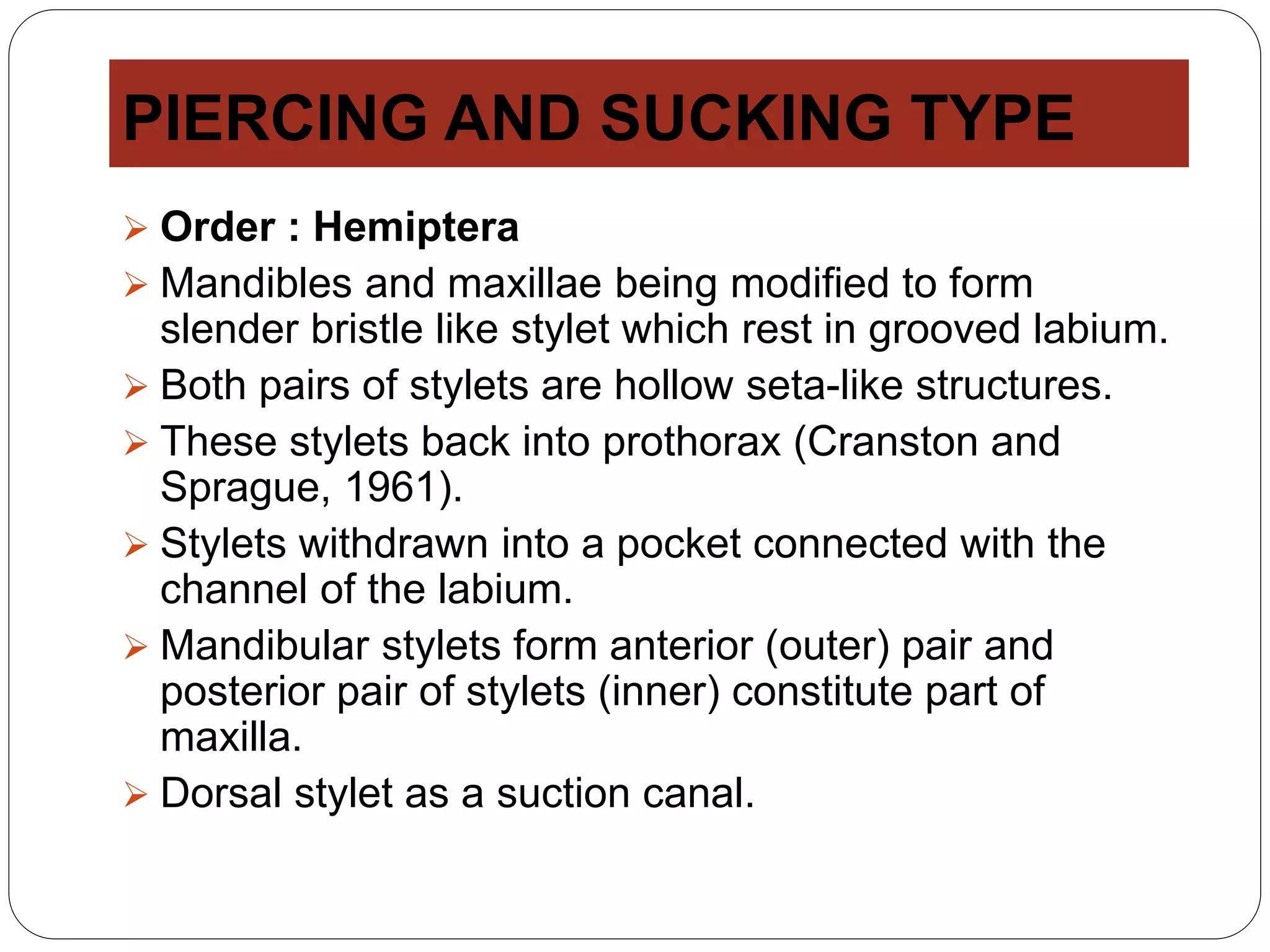 Insect Mouthparts | PPTX