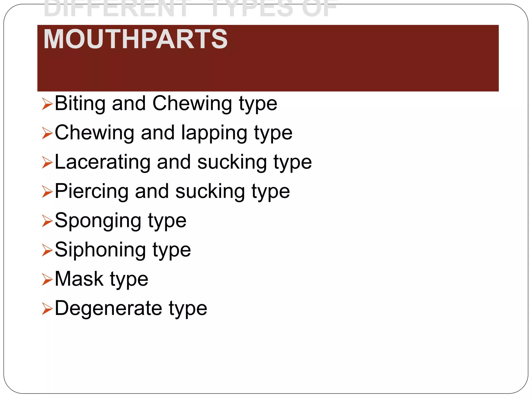 Insect Mouthparts | PPTX