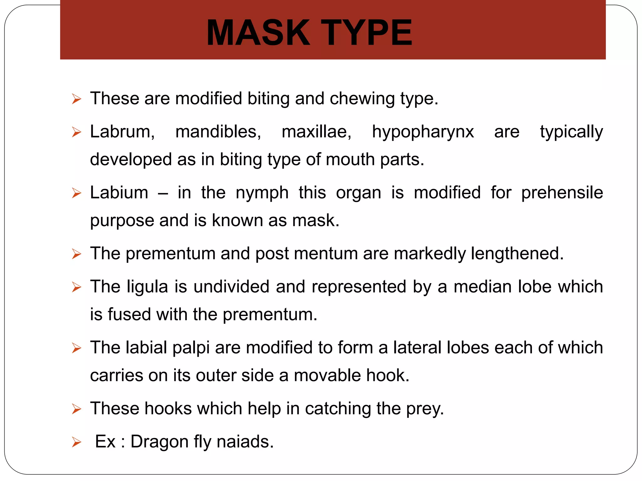 Insect Mouthparts | PPTX