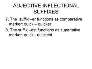 MORPHOLOGY (1).ppt