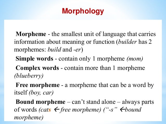 Morphology Definition