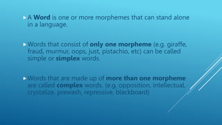 Morphology 101.pptx | Geology | Science